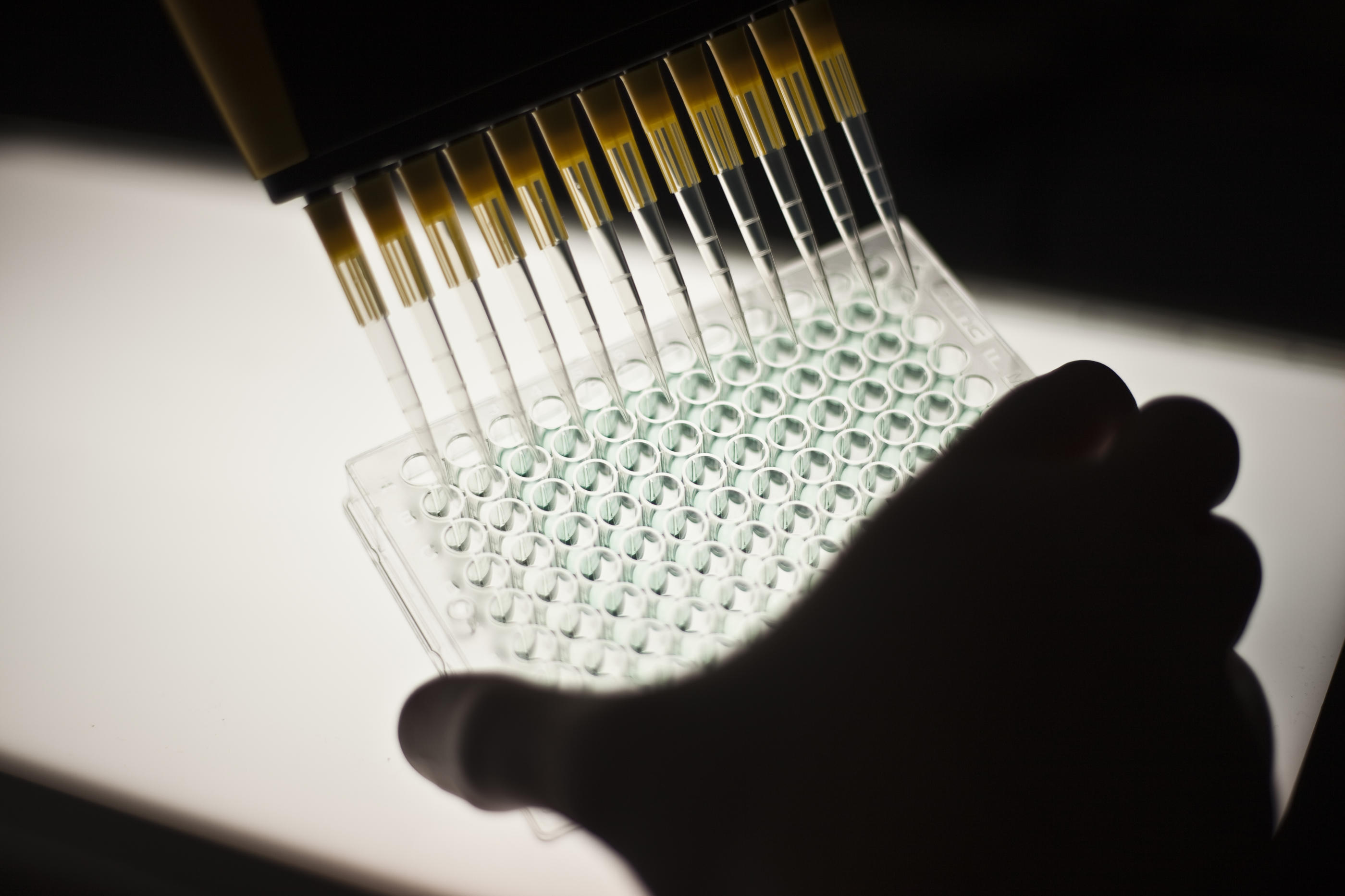 Cellbased assays: whole blood, PBMG, reporter gene, bioassays