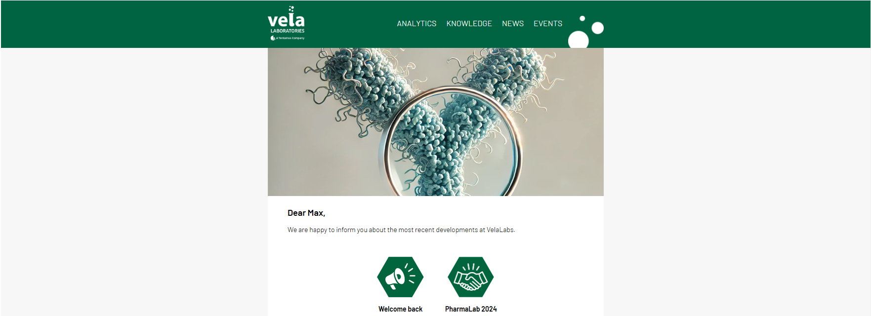Big News! New Newsletter Design for our esteemed customers and precious ...
